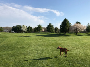 Gallery | Hickory Ridge Golf Course